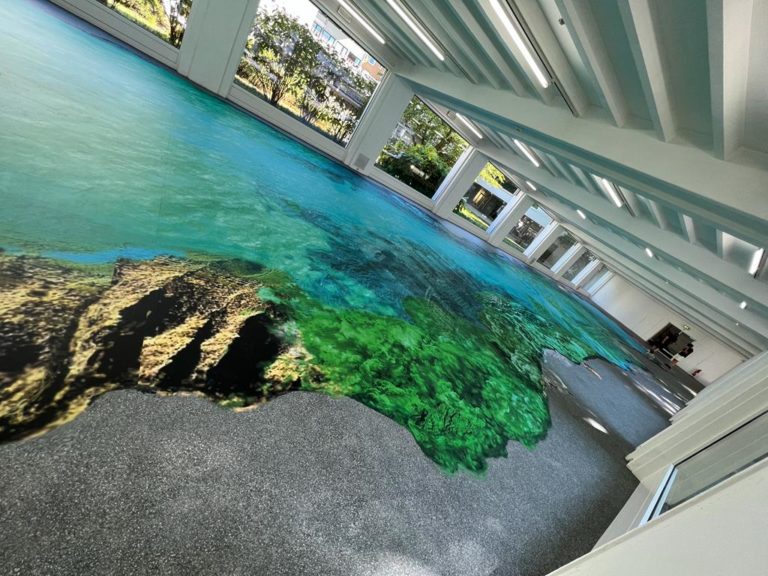 Why You Should Explore the Creative Potential of Vinyl Floor Graphics
